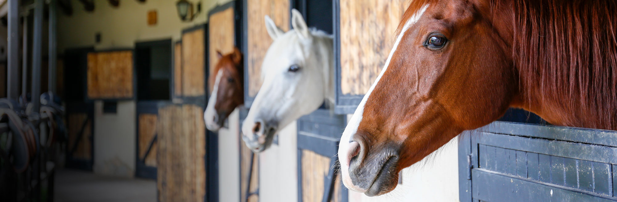 Ag Brokerage Solutions